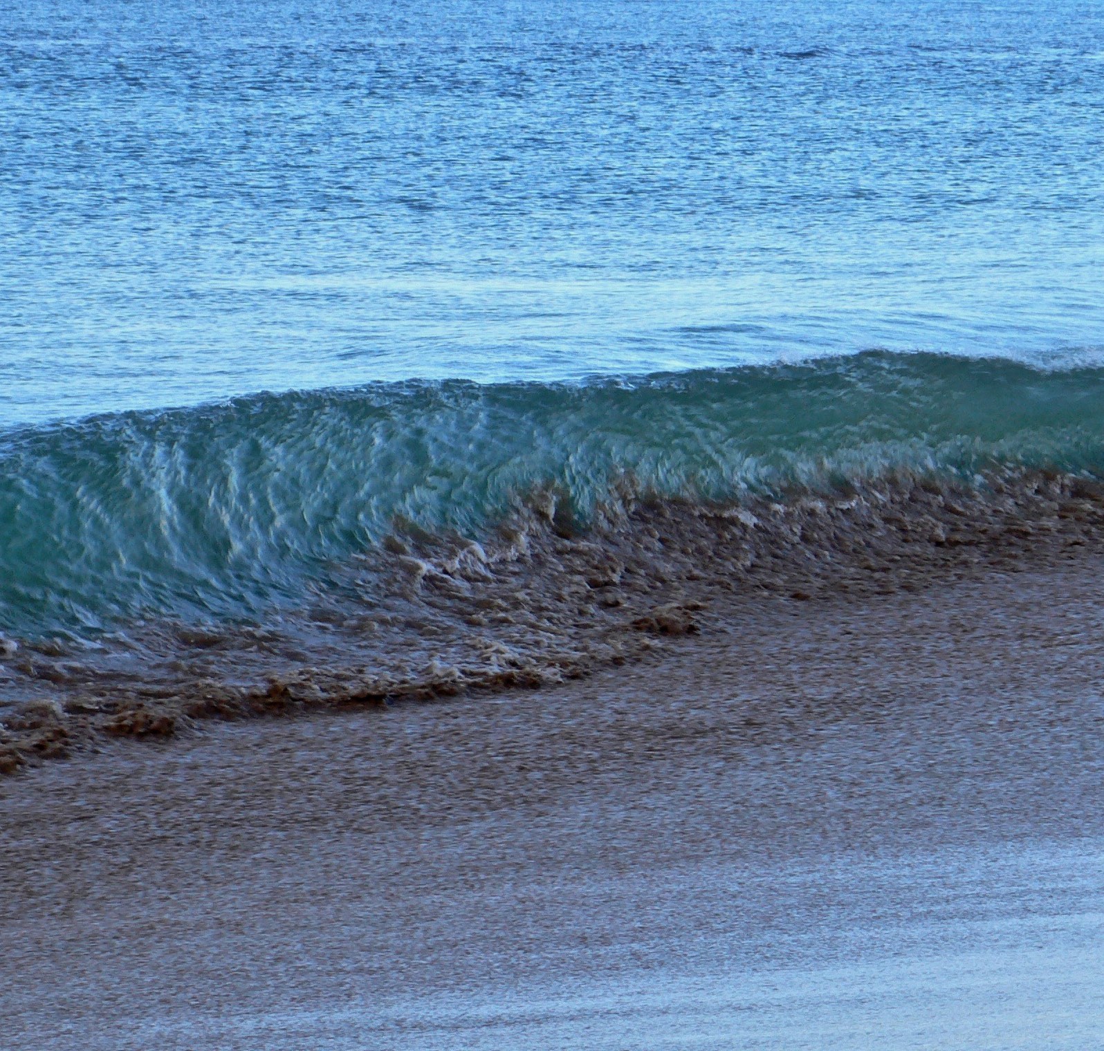 single-wave_coopersbeach-1